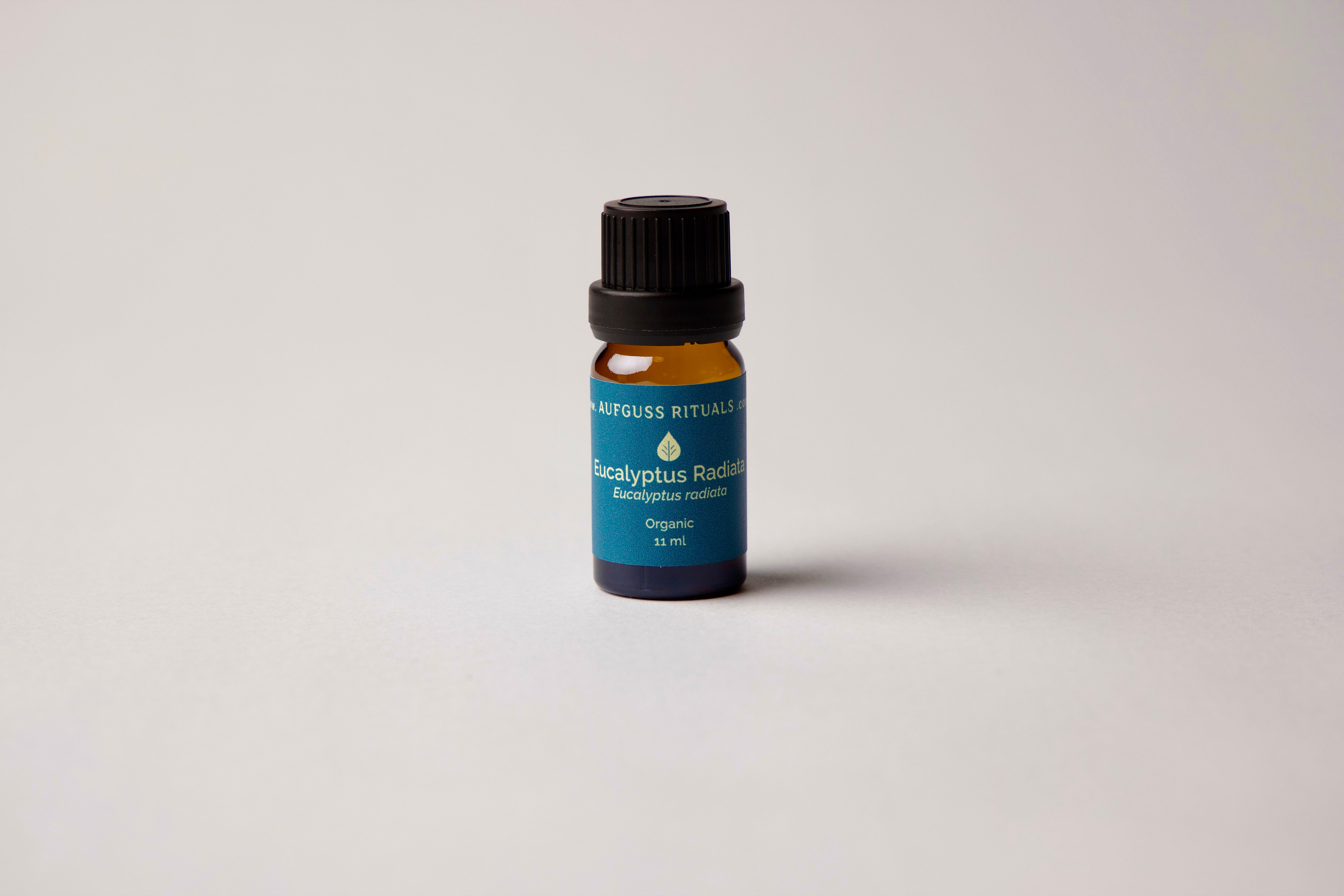 Eucalyptus Radiata Essential Oil - Organic – Aufguss Rituals